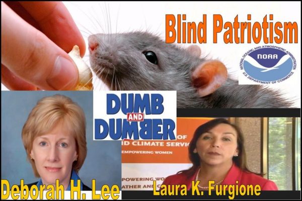 LAURA K. FURGIONE, RACIST Weather Woman, FRAUD Scandal
