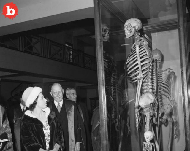7-Foot, 7-Inch Irish Skeleton May Be Freed After 200 Years - TheBlot ...
