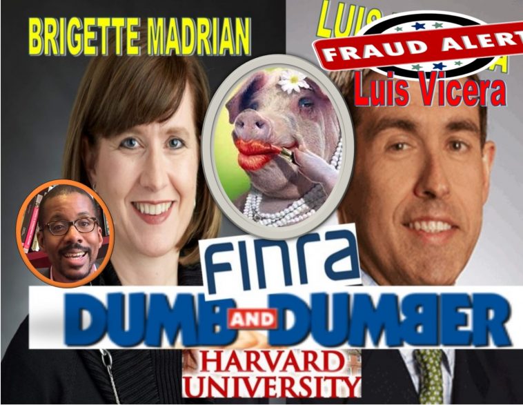 EDWARD WIPPER, Oved & Oved Lawyer Grills Phony Chris Brummer