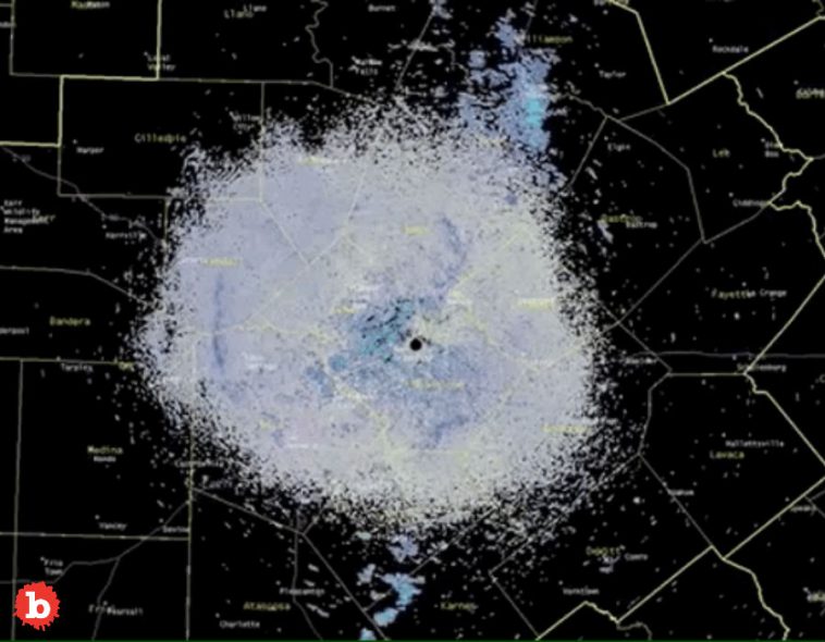 BATS!!!! Arizona Weather Radar Shows Huge Cloud of BATS!!!
