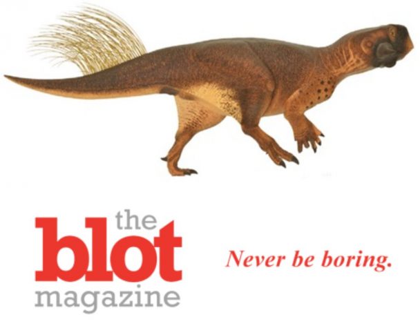 Paleontologist Talks About First Ever Perfect Dinosaur Butthole