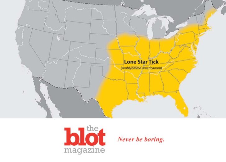 Tick Delivered Red Meat Allergy Victims Now Almost 500,000